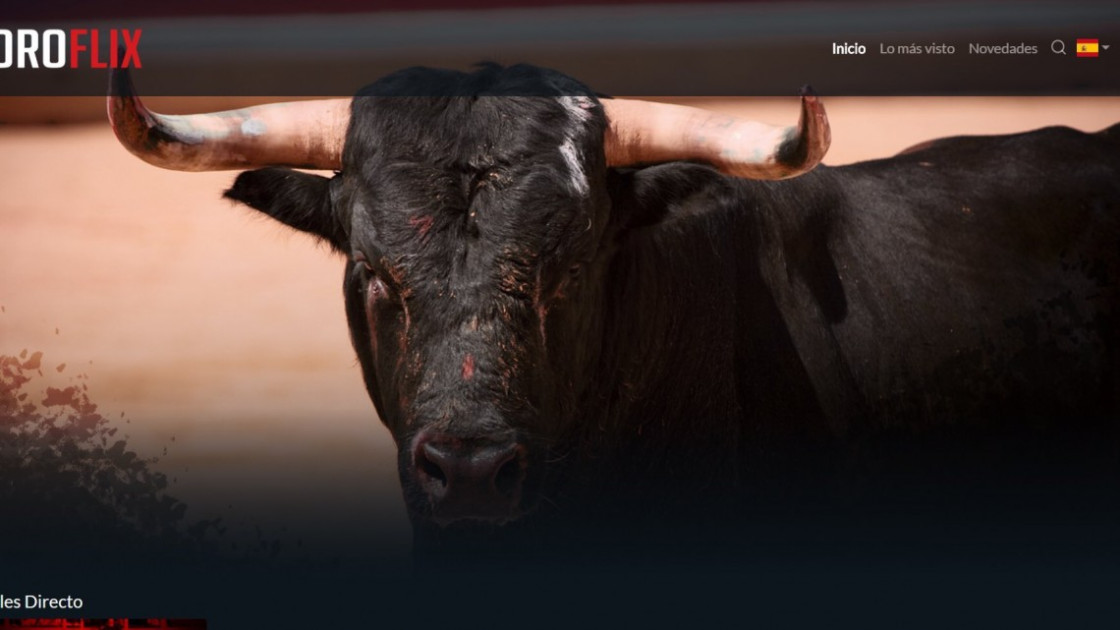 ¡Llega Toroglix, el Netflix de los toros! | NotiGape - Líderes en Noticias