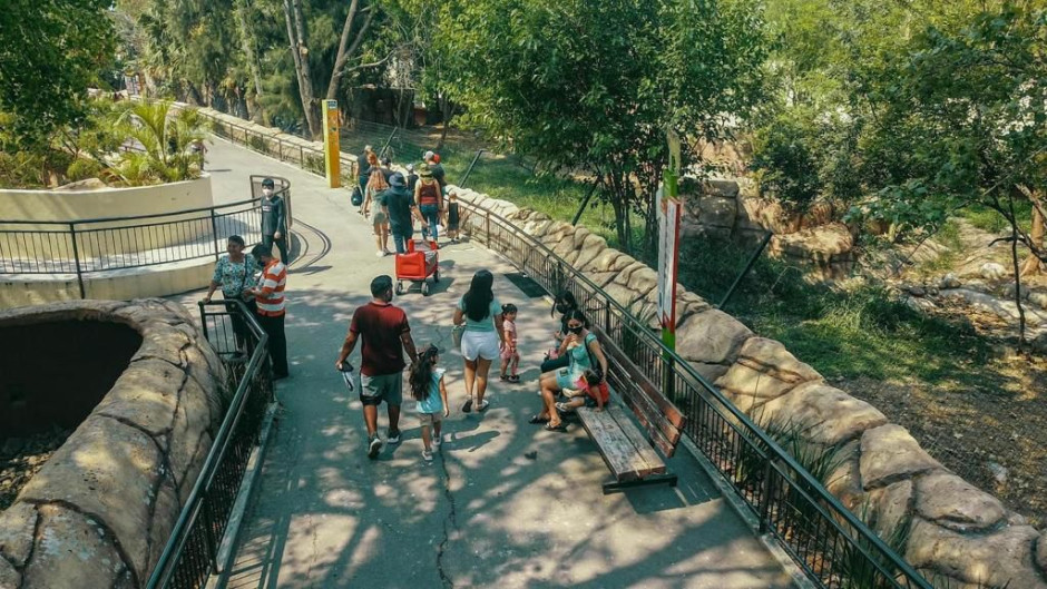Disfruta en el Zoológico Tamatán del “CurZoo 2023”, un verano ...