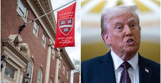 Erome leona cubana welcomed at the door by a small quite