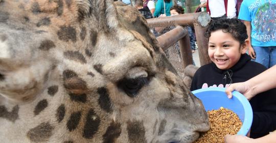 NotiGAPE - Conviven pequeños en el Zoológico con "Héroes Haciendo ...