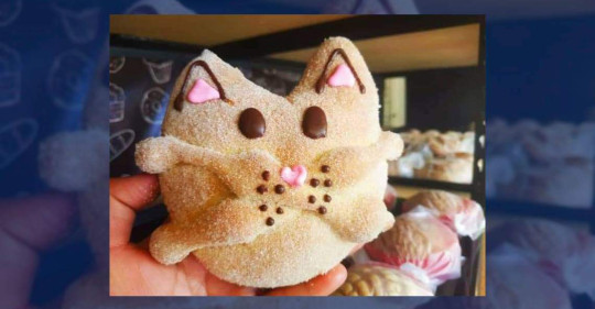 NotiGAPE - México Mágico: Llega el “Michi-Muerto”